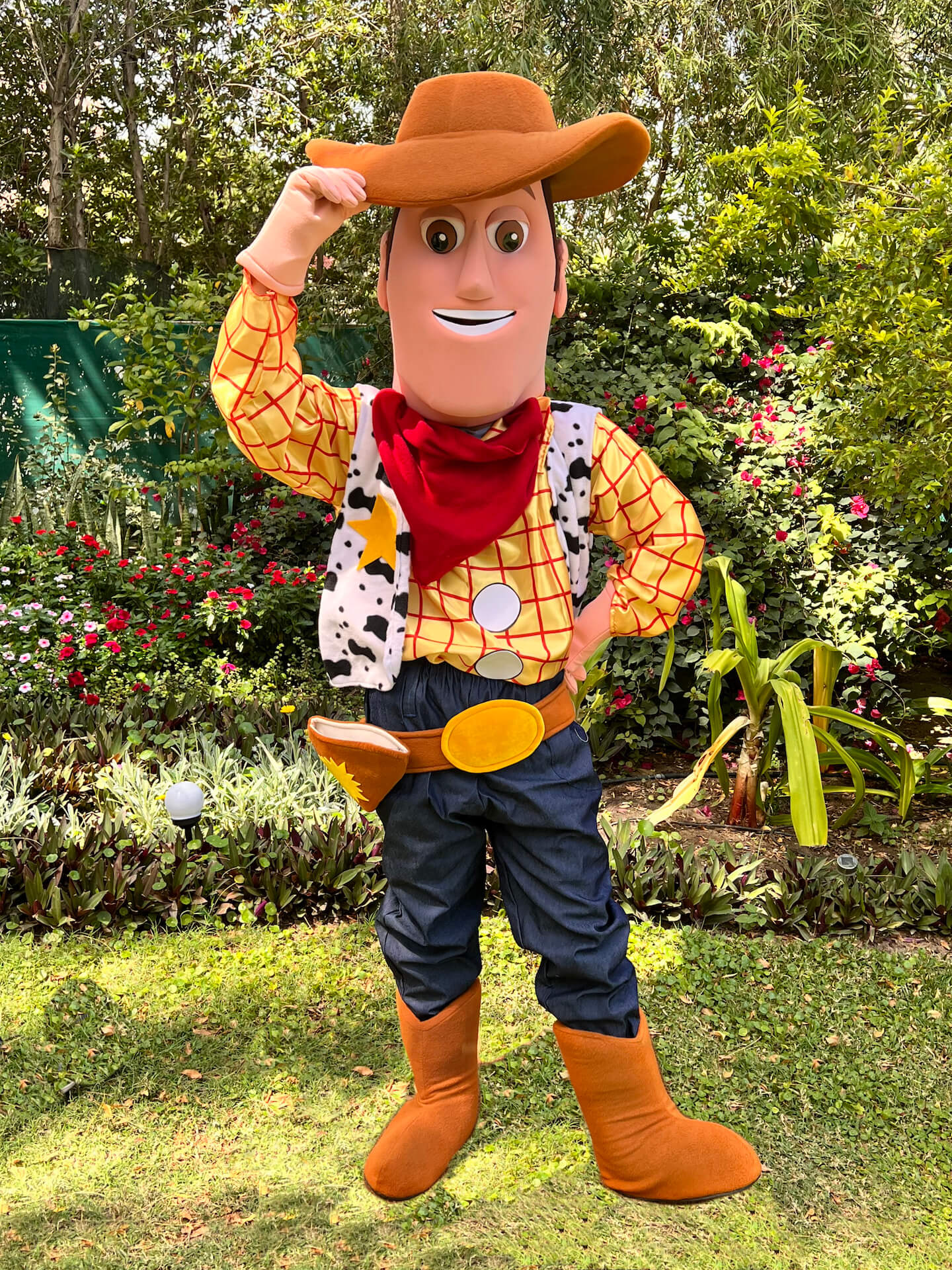 COWBOY MASCOT – The Character Crew